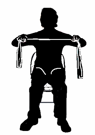 7 Seated Resistance Band Exercises for Seniors - Caregiverology
